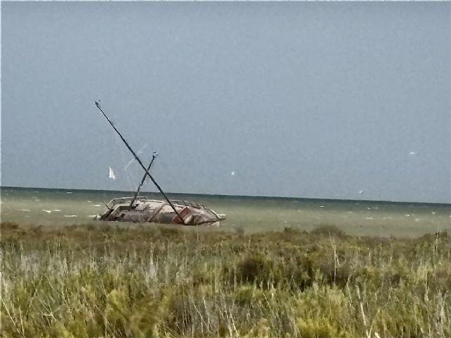 MC Cartagena reclama una actuación inmediata ante la dejadez ...